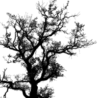 The Regnum Trilogy – Sometimes love and treason go hand in hand